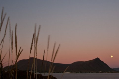 Akraneskaupstaður